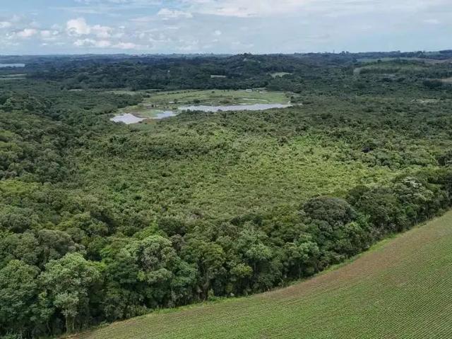 Sítio / Chácara para Venda em Araucária/PR Formigueiro