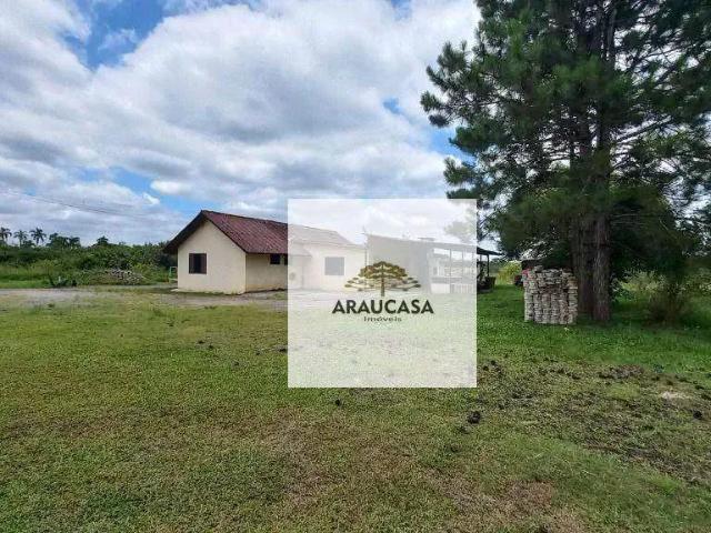 Sítio / Chácara para Venda em Araucária/PR Iguaçu 3 Quartos