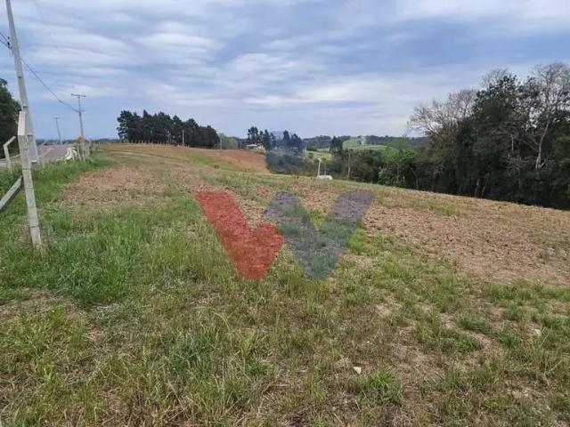 Sítio / Chácara para Venda em Araucária/PR Ipiranga 1 Quartos