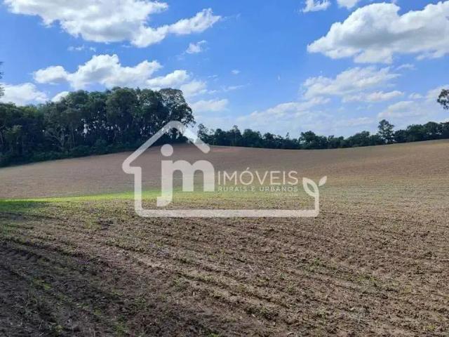Sítio / Chácara para Venda em Araucária/PR Ipiranga