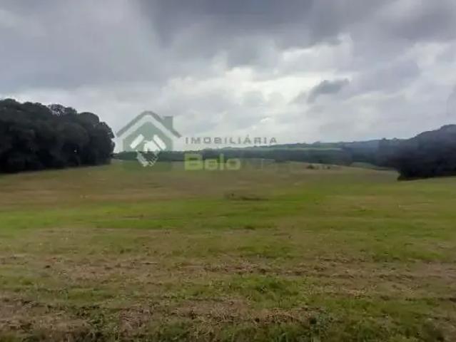 Sítio / Chácara para Venda em Araucária/PR Lagoa Suja