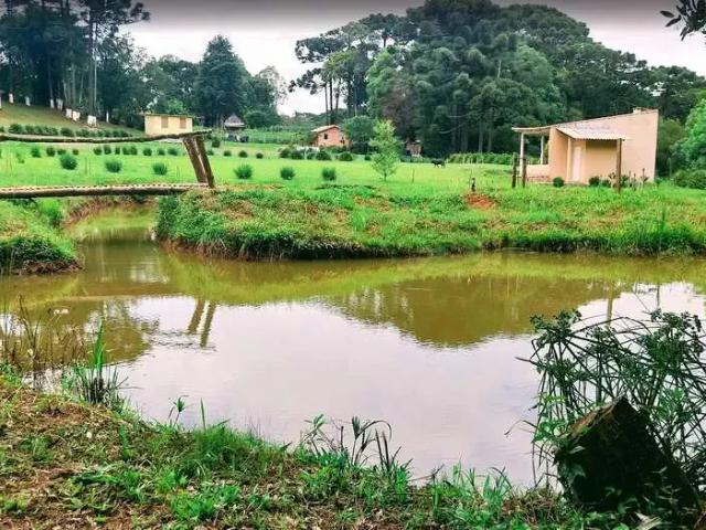 Sítio / Chácara para Venda em Araucária/PR Lagoa Suja 3 Quartos