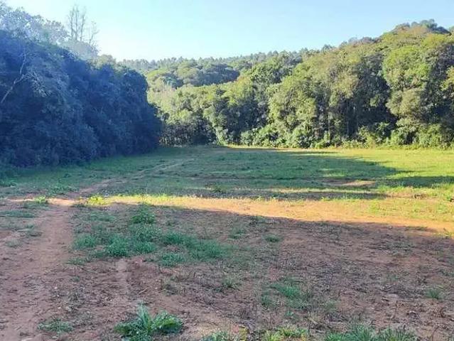 Sítio / Chácara para Venda em Araucária/PR Rio Verde de Cima