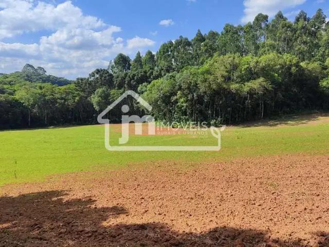 Sítio / Chácara para Venda em Araucária/PR Rio Verde de Cima