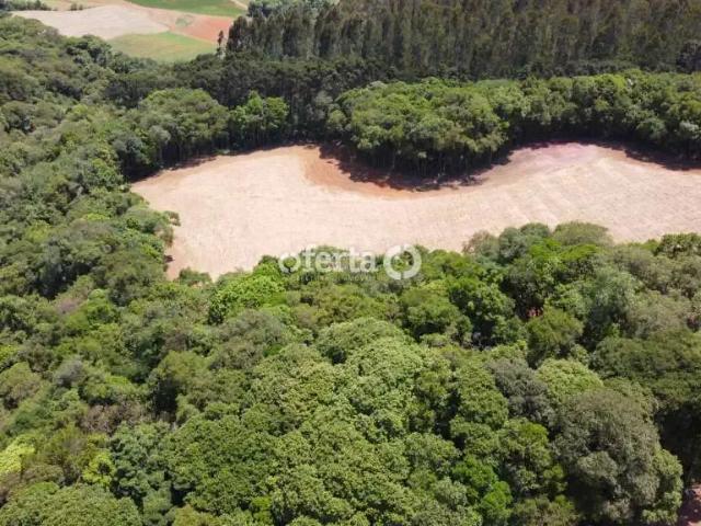 Sítio / Chácara para Venda em Araucária/PR Rio Verde de Cima