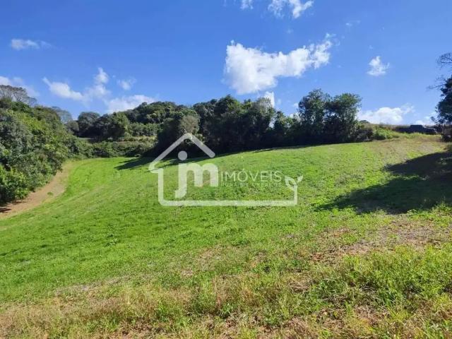 Sítio / Chácara para Venda em Araucária/PR Rio Verde de Cima