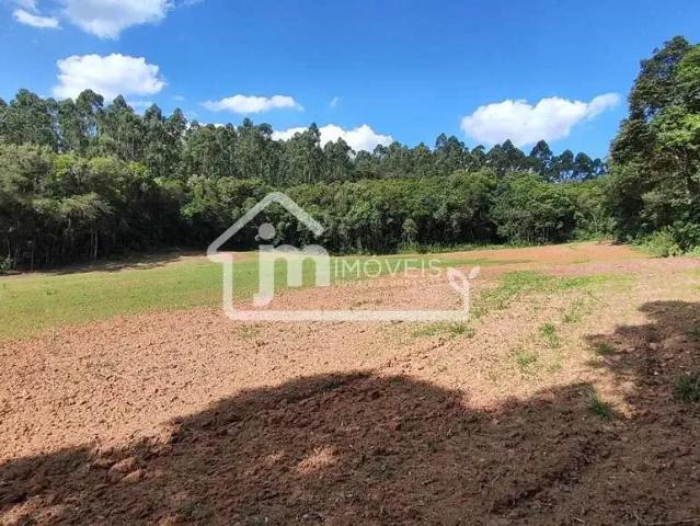 Sítio / Chácara para Venda em Araucária/PR Rio Verde de Cima