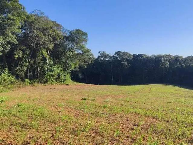 Sítio / Chácara para Venda em Araucária/PR Rio Verde de Cima