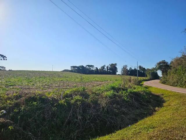 Sítio / Chácara para Venda em Araucária/PR Tietê