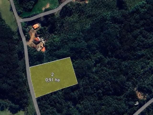 Sítio / Chácara para Venda em Araucária/PR Tietê