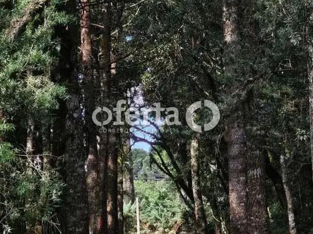 Sítio / Chácara para Venda em Araucária/PR Tietê