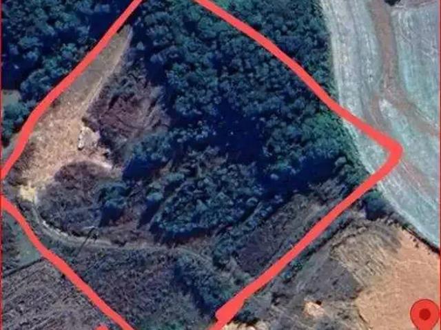 Sítio / Chácara para Venda em Araucária/PR Zona Rural