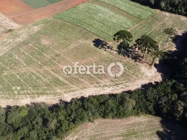 Sítio / Chácara para Venda em Araucária/PR Zona Rural