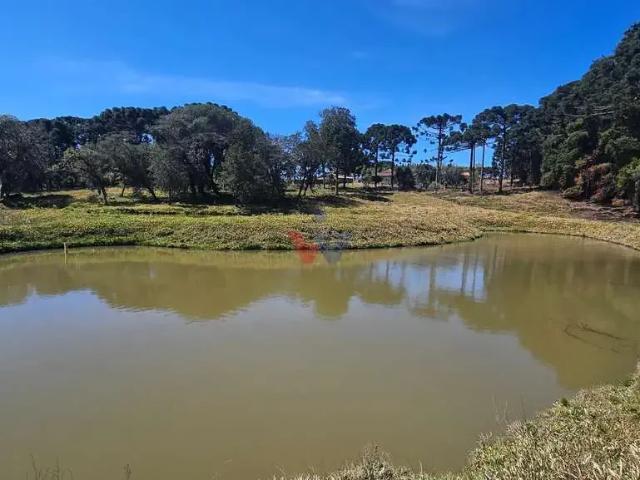 Sítio / Chácara para Venda em Araucária/PR Zona Rural 6 Quartos