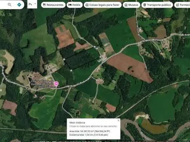Sítio / Chácara para Venda em Araucária/PR Zona Rural