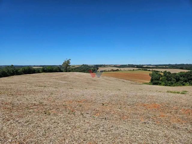 Sítio / Chácara para Venda em Araucária/PR Zona Rural 1 Quartos