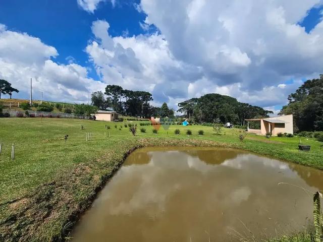 Sítio / Chácara para Venda em Araucária/PR Zona Rural 1 Quartos