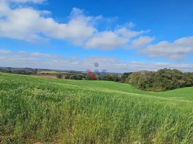 Sítio / Chácara para Venda em Araucária/PR Zona Rural 1 Quartos