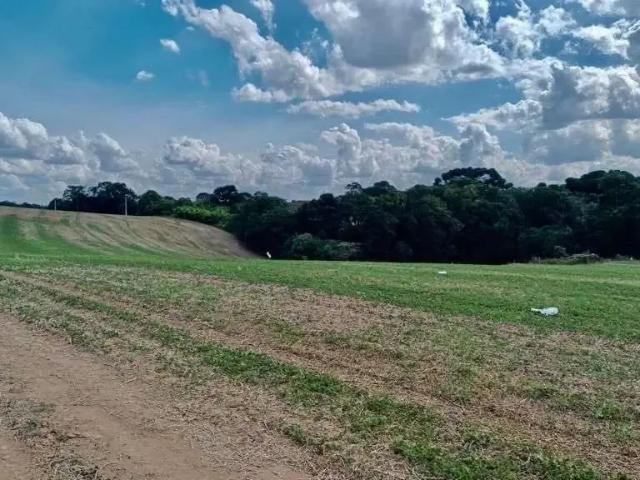 Sítio / Chácara para Venda em Araucária/PR Zona Rural 1 Quartos