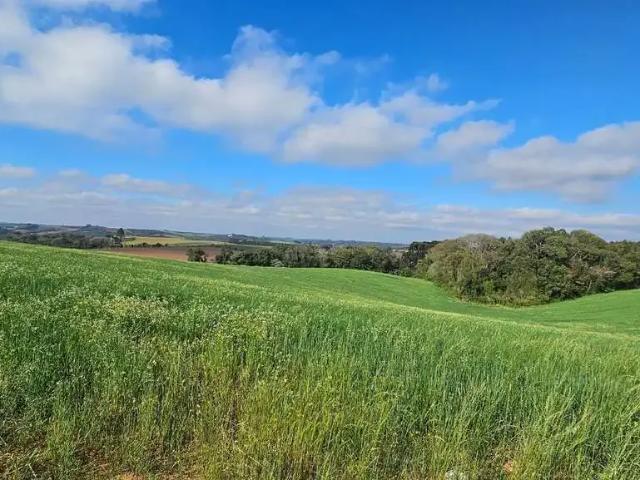 Sítio / Chácara para Venda em Araucária/PR Zona Rural 1 Quartos