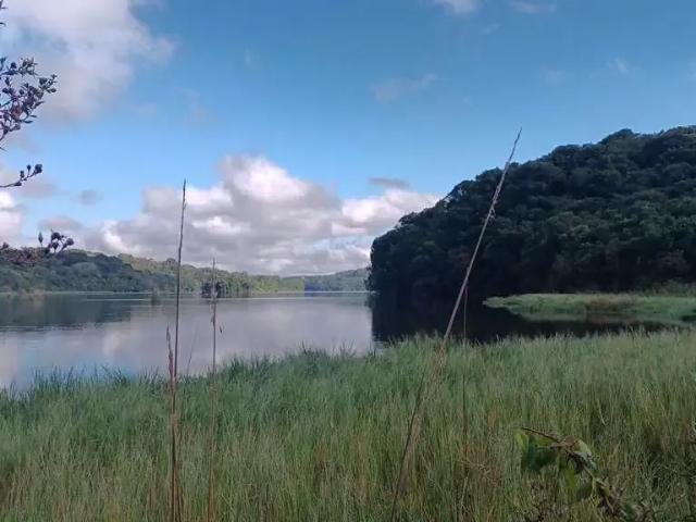 Sítio / Chácara para Venda em Araucária/PR Zona Rural 2 Quartos
