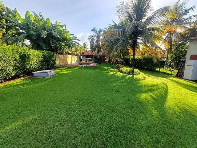 Sítio / Chácara para Venda em Arealva/SP Nova Marilândia 3 Quartos