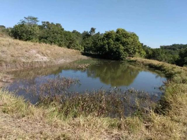 Sítio / Chácara para Venda em Arealva/SP Santa Izabel 3 Quartos