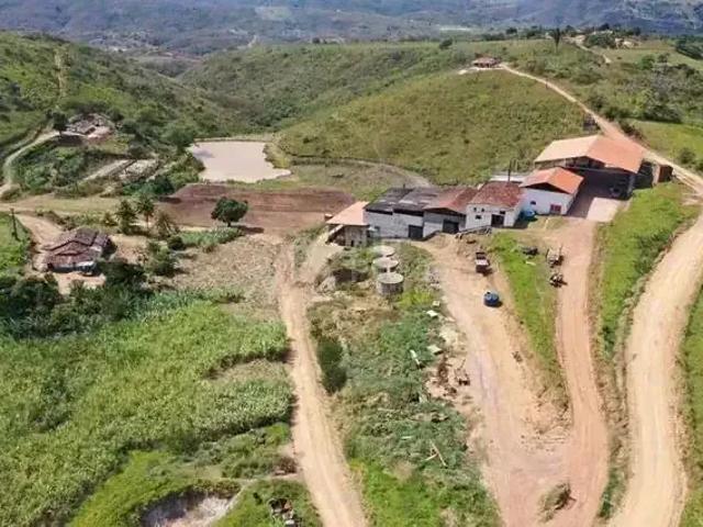Sítio / Chácara para Venda em Areia/PB Centro
