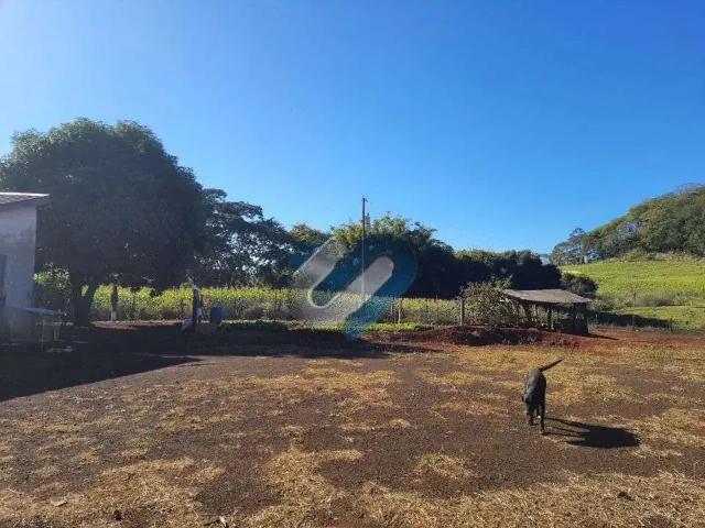 Sítio / Chácara para Venda em Assaí/PR Zona Rural 1 Quartos