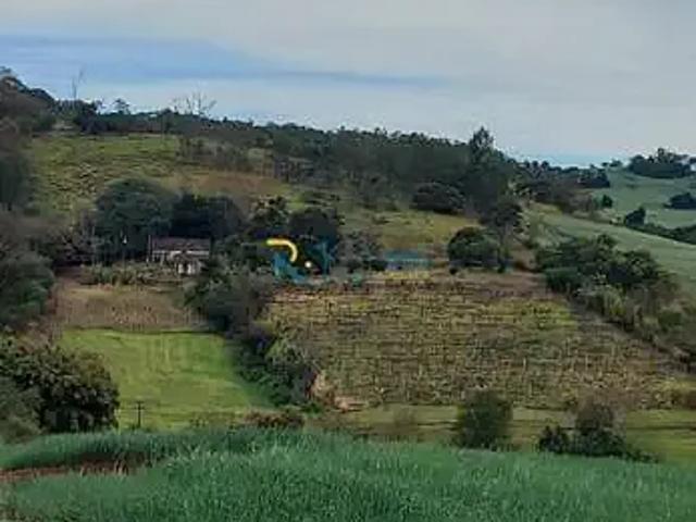 Sítio / Chácara para Venda em Assaí/PR Zona Rural