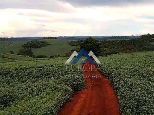 Sítio / Chácara para Venda em Assaí/PR Zona Rural