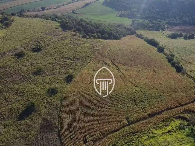 Sítio / Chácara para Venda em Assaí/PR Zona Rural