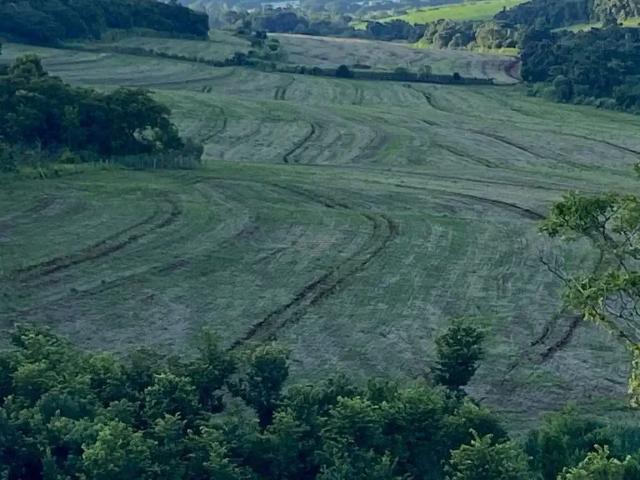 Sítio / Chácara para Venda em Assaí/PR Zona Rural