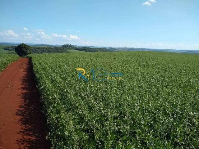 Sítio / Chácara para Venda em Assaí/PR Zona Rural
