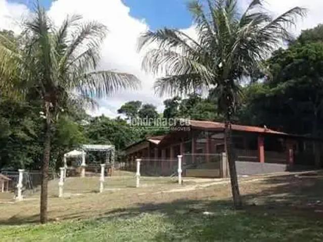 Sítio / Chácara para Venda em Assaí/PR Zona Rural