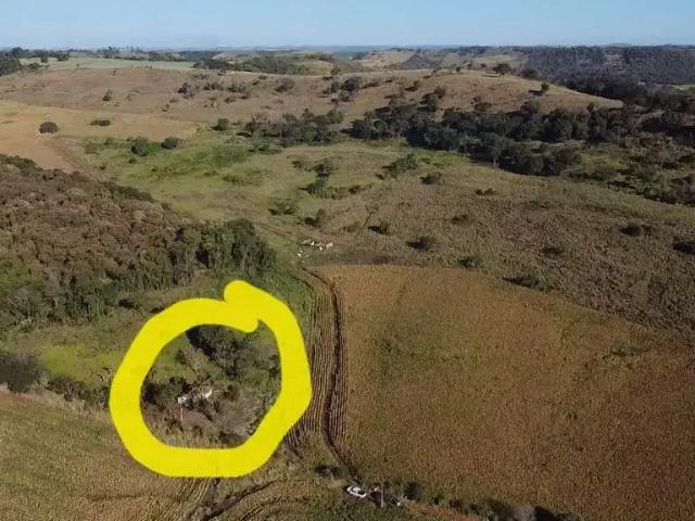 Sítio / Chácara para Venda em Assaí/PR Centro