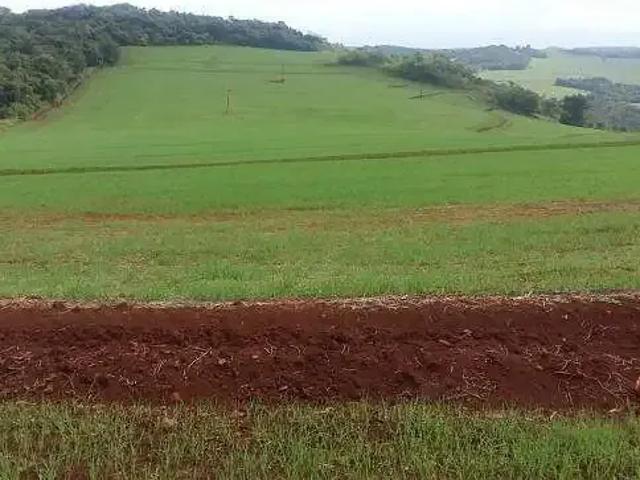 Sítio / Chácara para Venda em Assaí/PR Seção Guarucaia