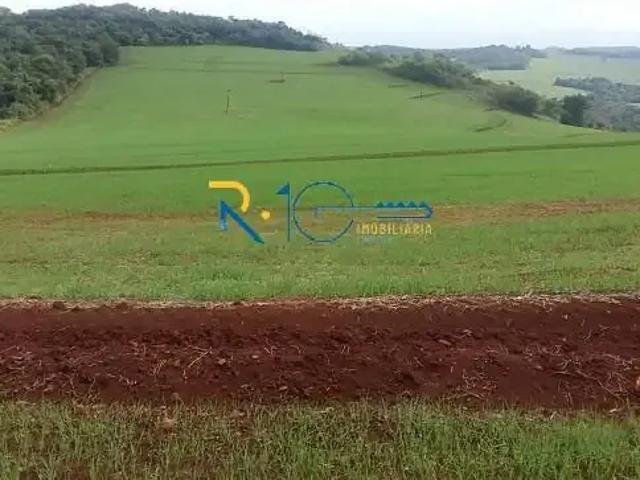 Sítio / Chácara para Venda em Assaí/PR Seção Guarucaia