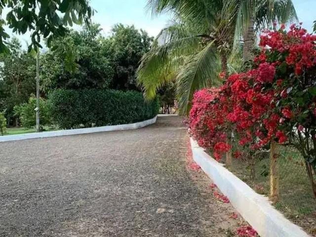 Sítio / Chácara para Venda em Assis/SP Área Rural de Assis 3 Quartos