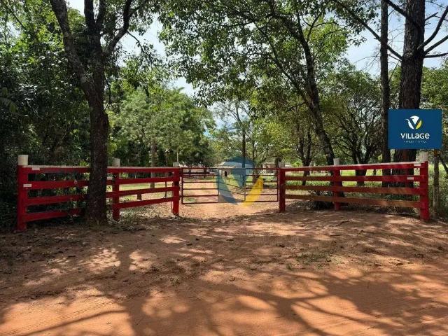 Sítio / Chácara para Venda em Assis/SP Área Rural de Assis 3 Quartos
