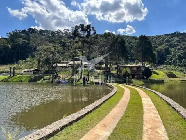 Sítio / Chácara para Venda em Atibaia/SP Atibaia Vista da Montanha 6 Quartos