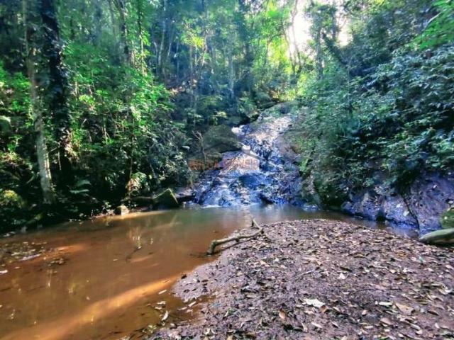 Sítio / Chácara para Venda em Atibaia/SP Campo Largo