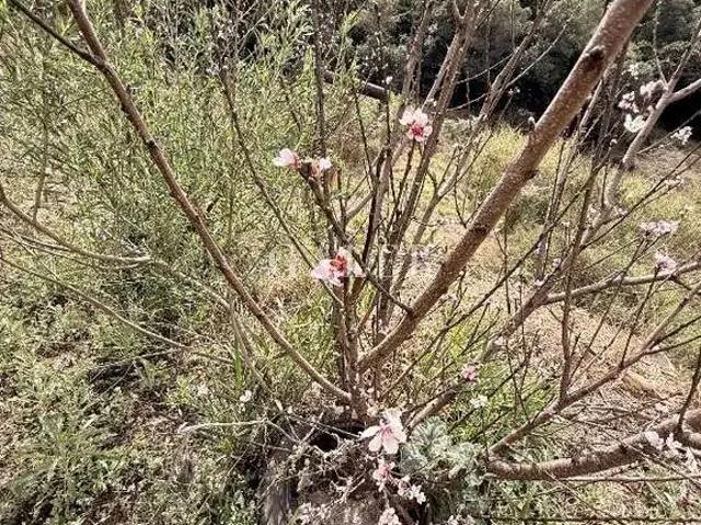 Sítio / Chácara para Venda em Atibaia/SP Itapetinga