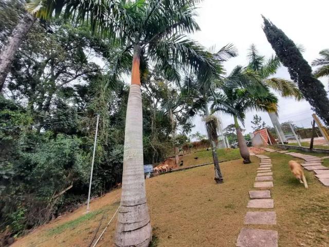 Sítio / Chácara para Venda em Atibaia/SP Jardim Estância Brasil 1 Quartos