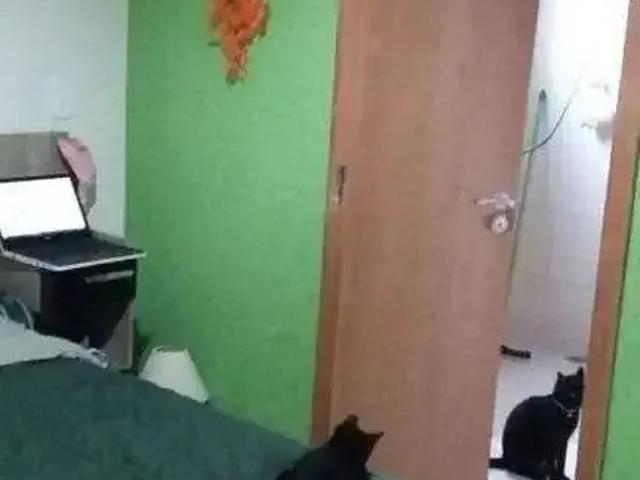 Sítio / Chácara para Venda em Atibaia/SP Portão 3 Quartos