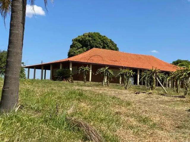 Sítio / Chácara para Venda em Auriflama/SP Zona Rural 3 Quartos