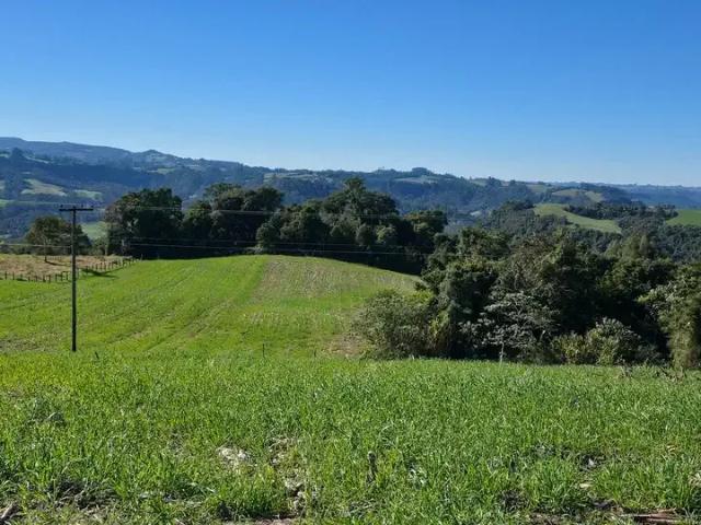 Sítio / Chácara para Venda em Aurora/SC Área Rural de Aurora 1 Quartos