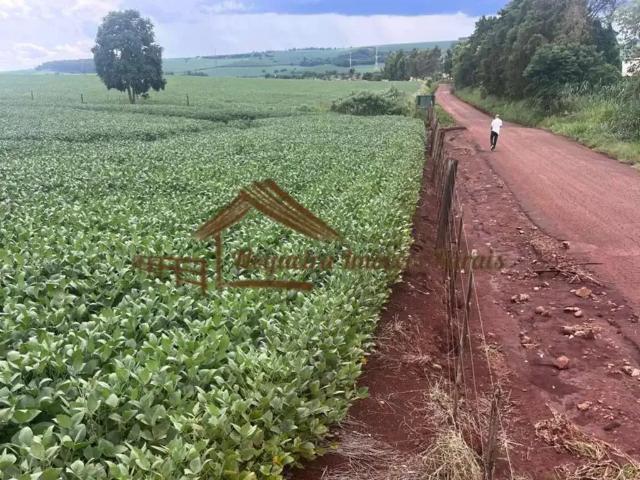 Sítio / Chácara para Venda em Avaré/SP Área Rural de Avaré