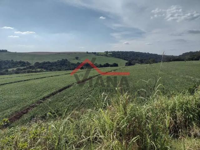 Sítio / Chácara para Venda em Avaré/SP Área Rural de Avaré