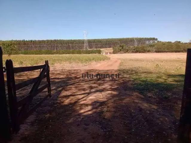 Sítio / Chácara para Venda em Avaré/SP Área Rural de Avaré